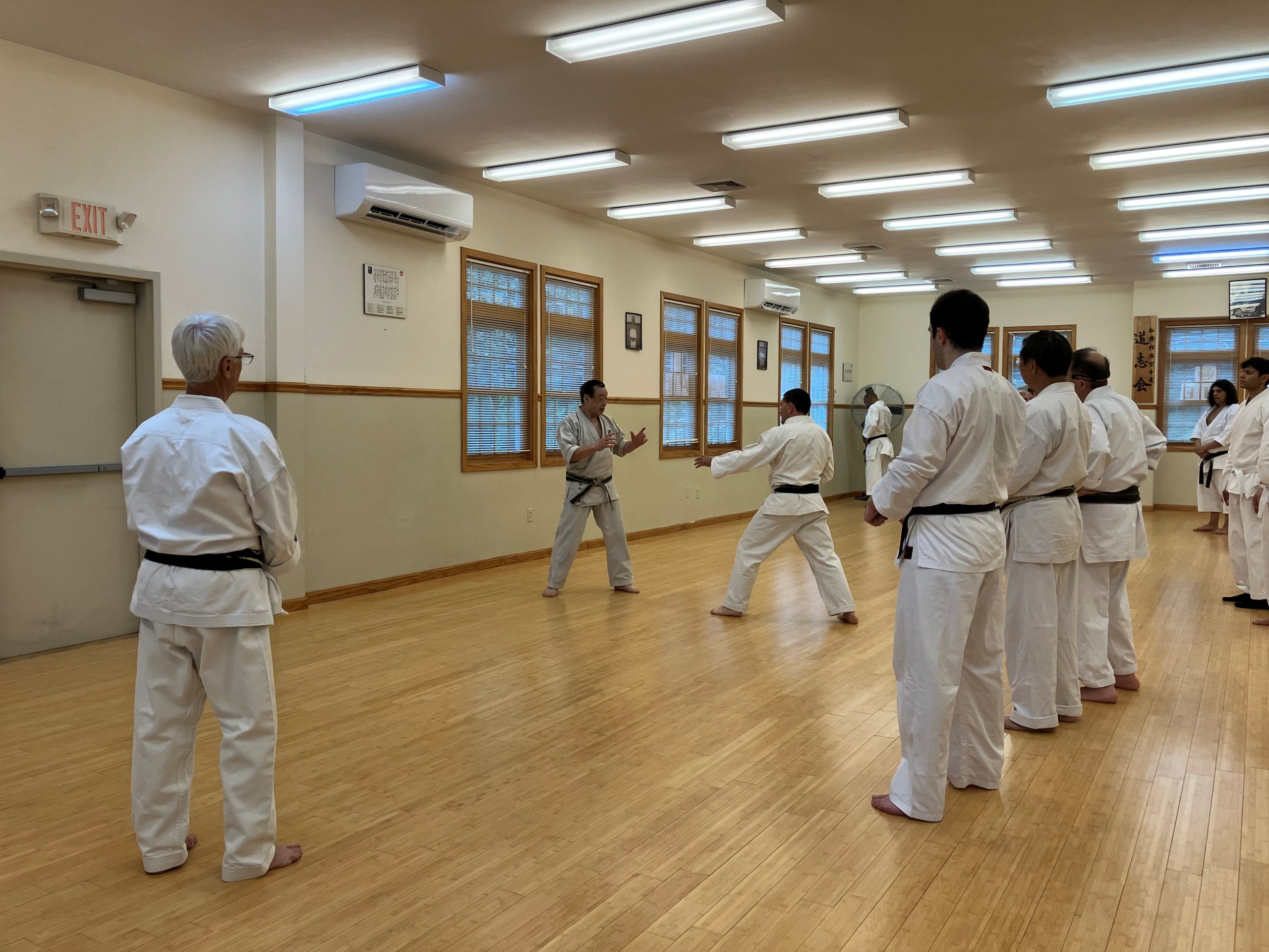 Special Training with Matsuyama Sensei - Doshi-Kai Karate Club